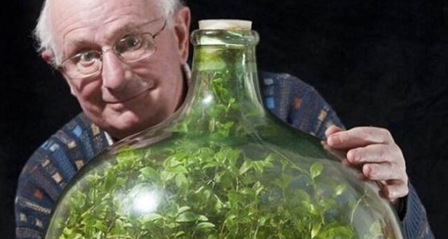 David Latimer : Vrai ou Faux, l'Histoire Folle de son Terrarium